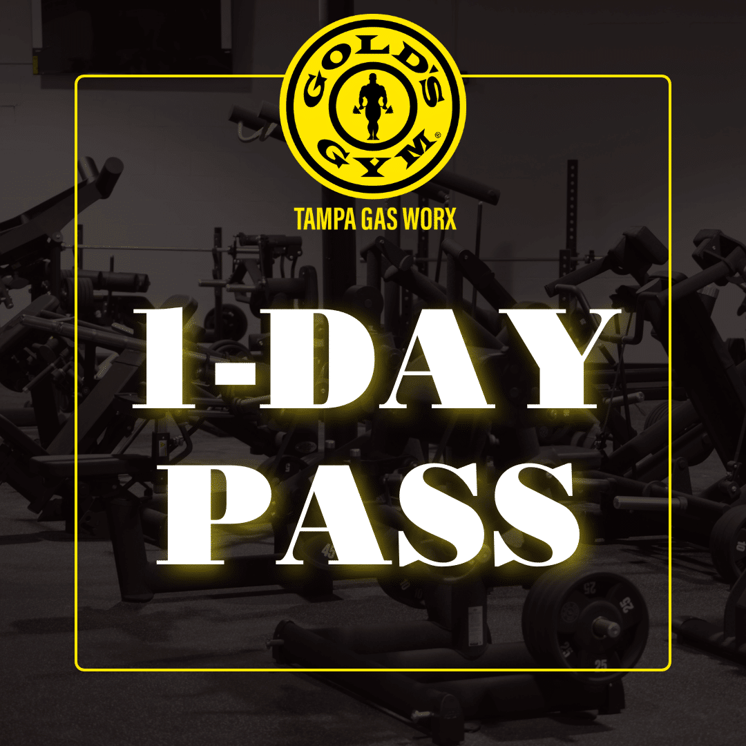 Gold s Gym Tampa Day Passes Tampa s 1 Destination Gym
